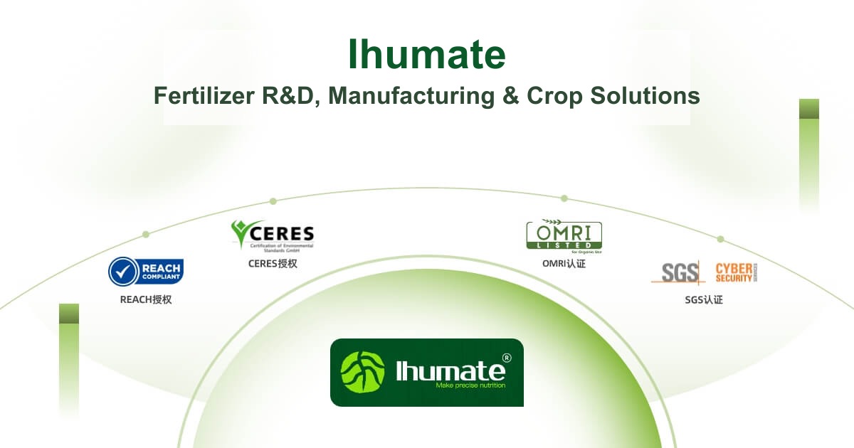 Record Sulfur Prices Push Global Phosphate Fertilizers Into a Cost Squeeze